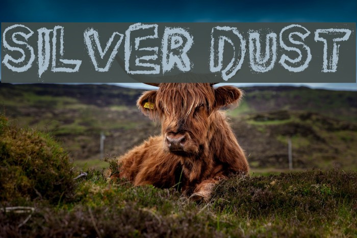 Silver Dust Font - FFonts.net