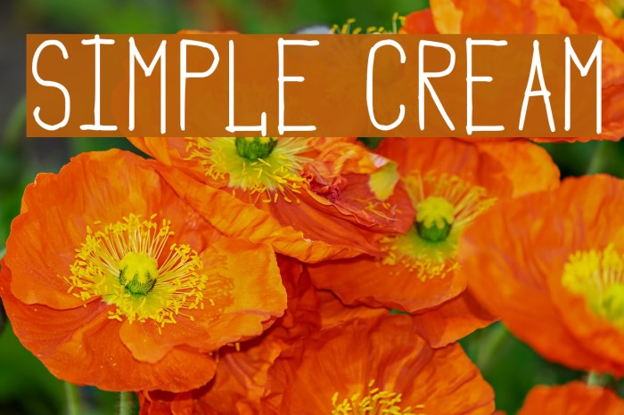 Simple Cream Font - FFonts.net