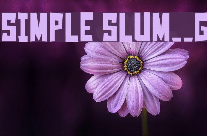Simple Slum__G Font - FFonts.net