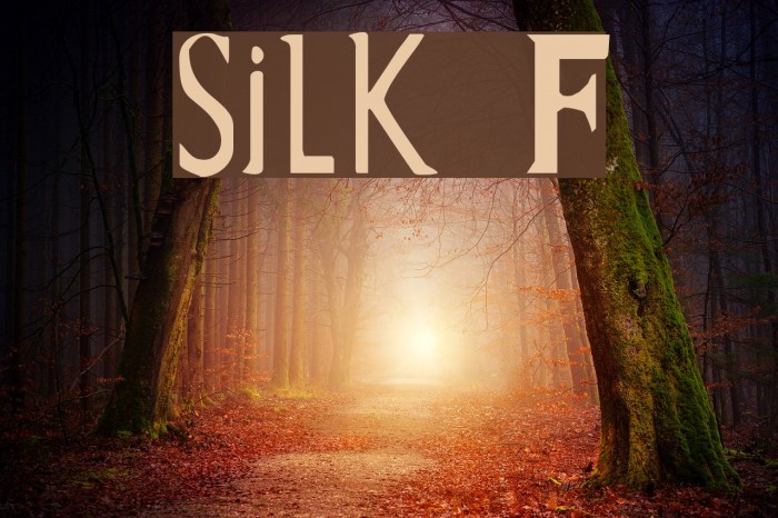 silk Font - FFonts.net
