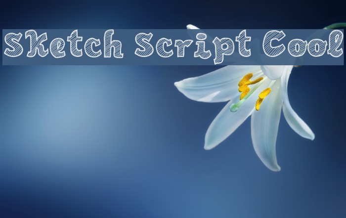 Sketch Script Cool Font - FFonts.net