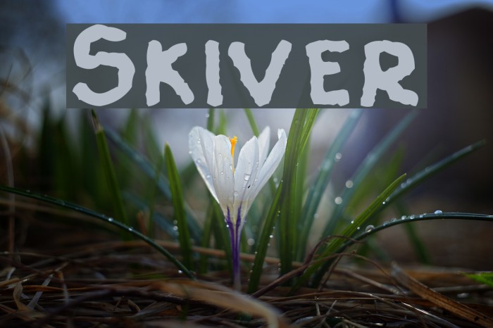 Skiver Font - FFonts.net