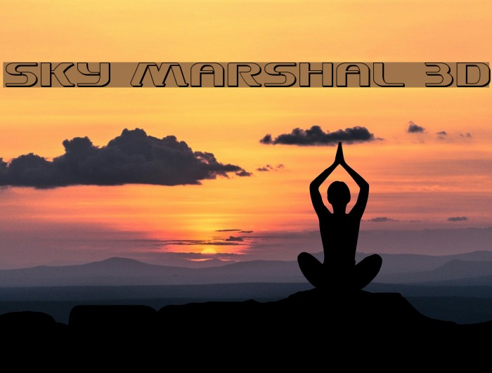 Sky Marshal 3D Font - FFonts.net
