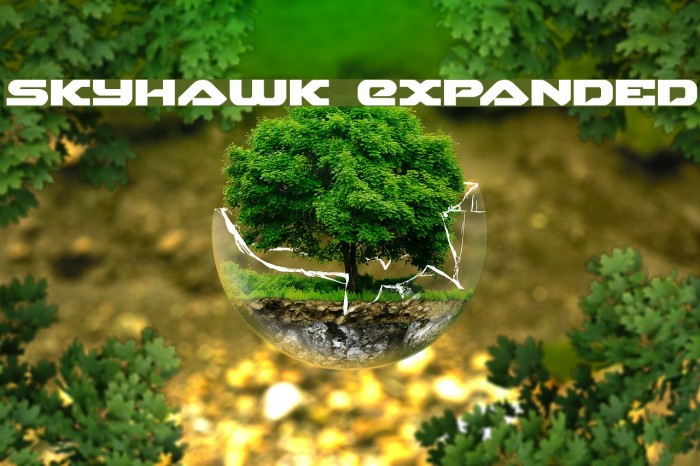 Skyhawk Expanded Font - FFonts.net