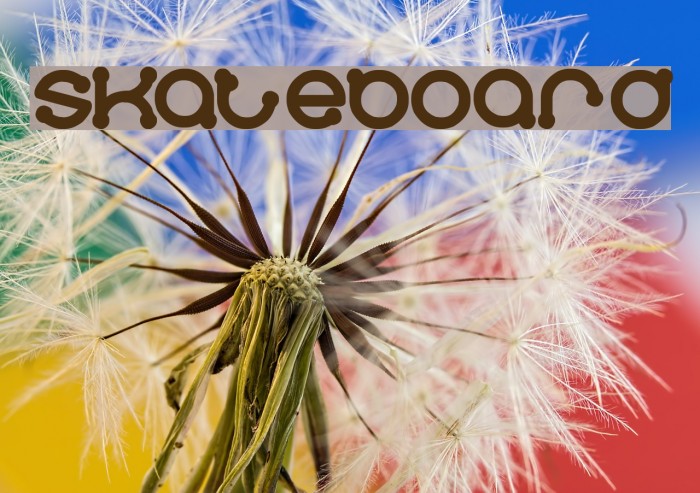 skateboard Font - FFonts.net