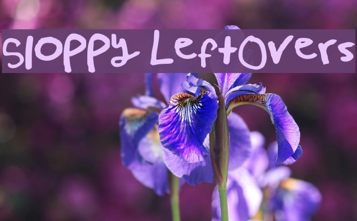 Sloppy LeftOvers Font - FFonts.net