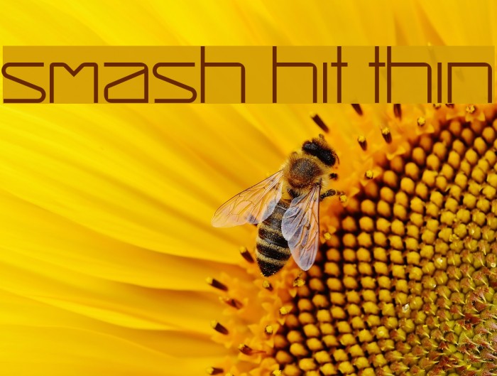 Smash Hit Thin Font - FFonts.net