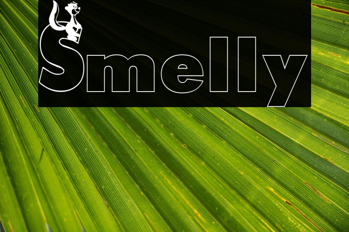 Smelly Font - FFonts.net