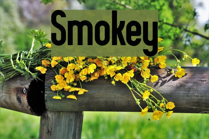Smokey Font - FFonts.net