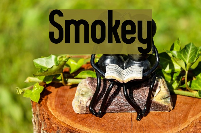 Smokey Font - FFonts.net
