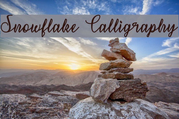 Snowflake Calligraphy Font - FFonts.net