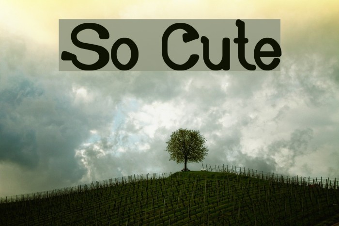 So Cute Font - FFonts.net