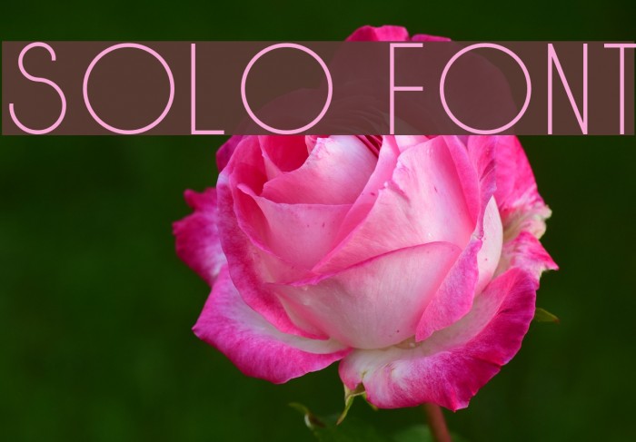 Solo Font - FFonts.net