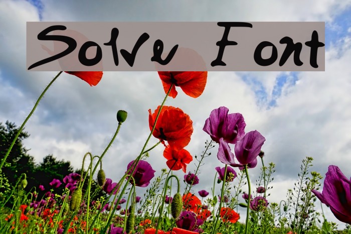 Solve Font - FFonts.net
