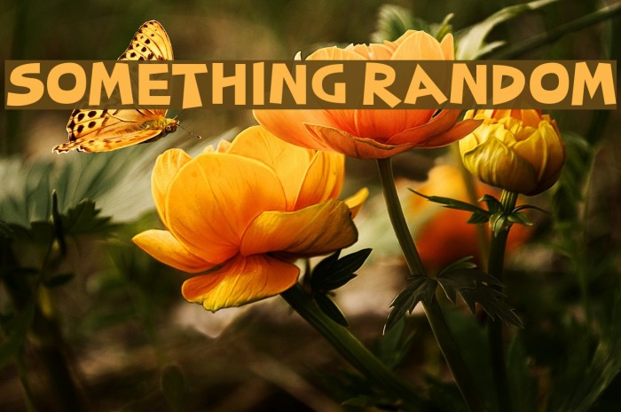 Something Random Font - FFonts.net
