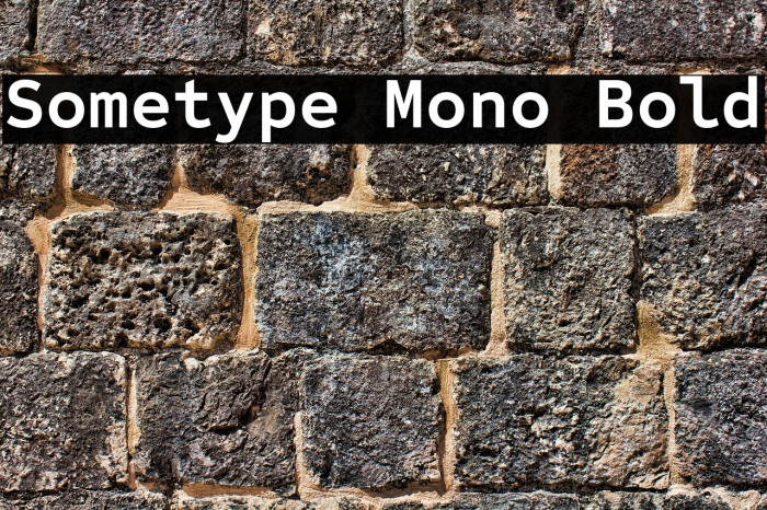 Sometype Mono Bold Font - FFonts.net