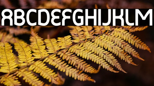 Sophie Font | Free Download (TTF/OTF) | FFonts.net