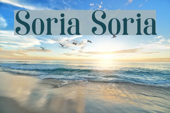 Soria Soria Font - FFonts.net