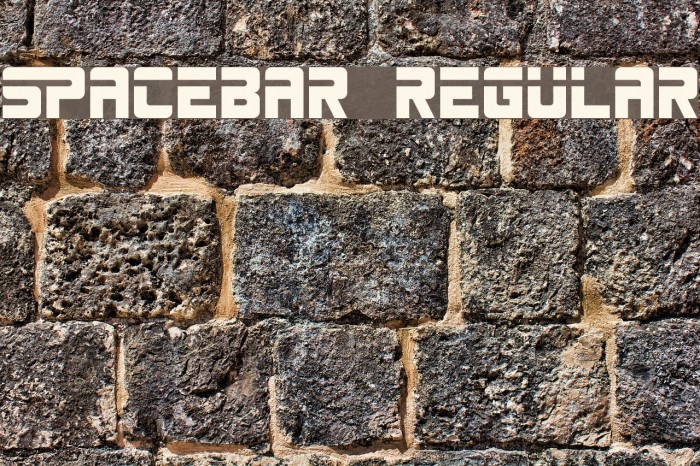 SPACEBAR Regular Font - FFonts.net