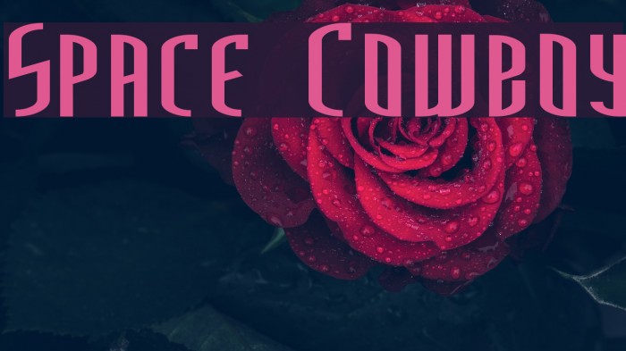 Space Cowboy Font - FFonts.net