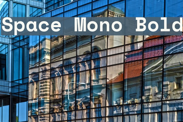 Space Mono Bold Font - FFonts.net