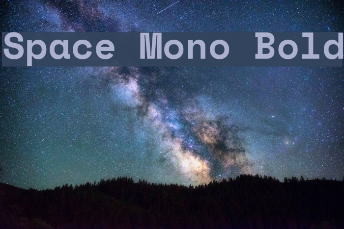 Space Mono Bold Font - FFonts.net
