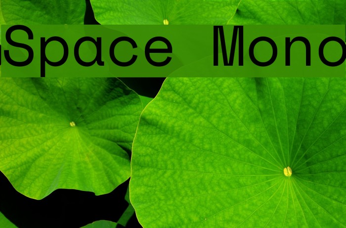 Space Mono Font - FFonts.net