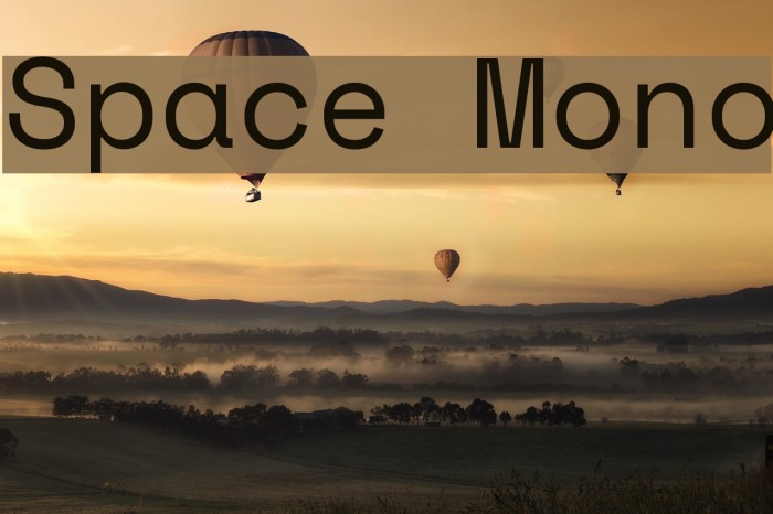 Space Mono Font - FFonts.net