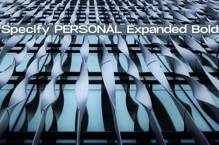 Specify PERSONAL Expanded Bold Font - FFonts.net Specify PERSONAL Expanded Bold Font - FFonts.net