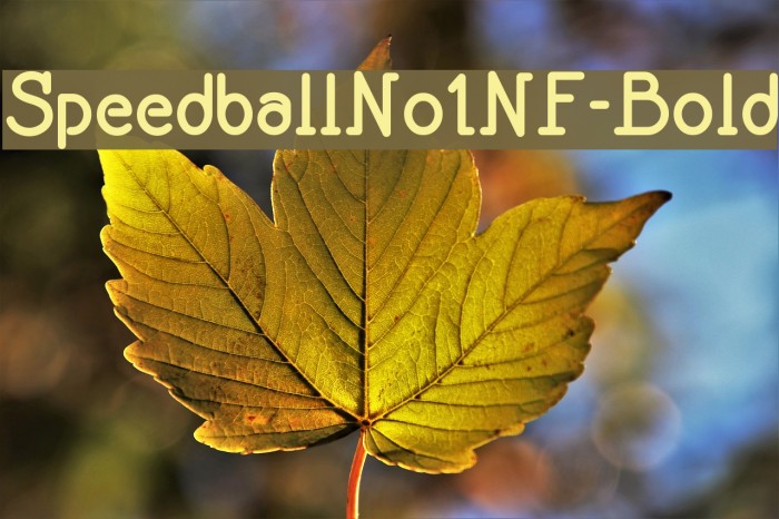 SpeedballNo1NF-Bold Font - FFonts.net