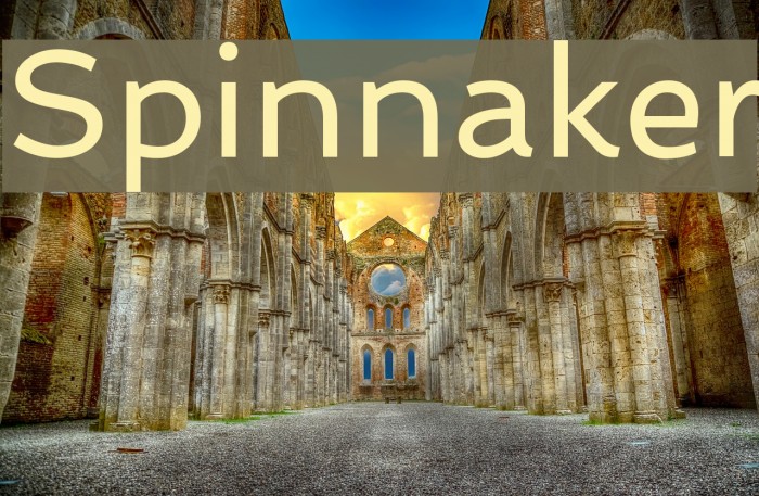 Spinnaker Font - FFonts.net