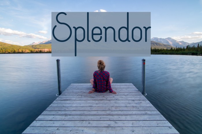 Splendor Font - FFonts.net