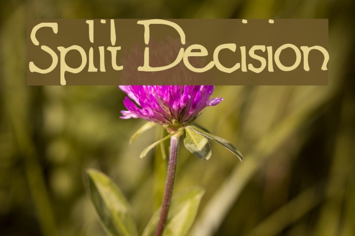 Split Decision Font - FFonts.net
