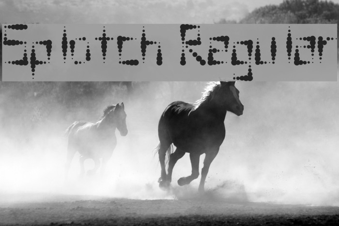 Splotch Regular Font - FFonts.net