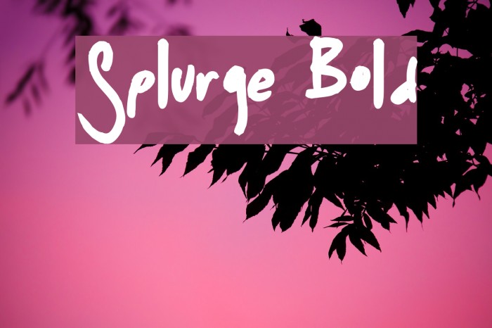 Splurge Bold Font - FFonts.net