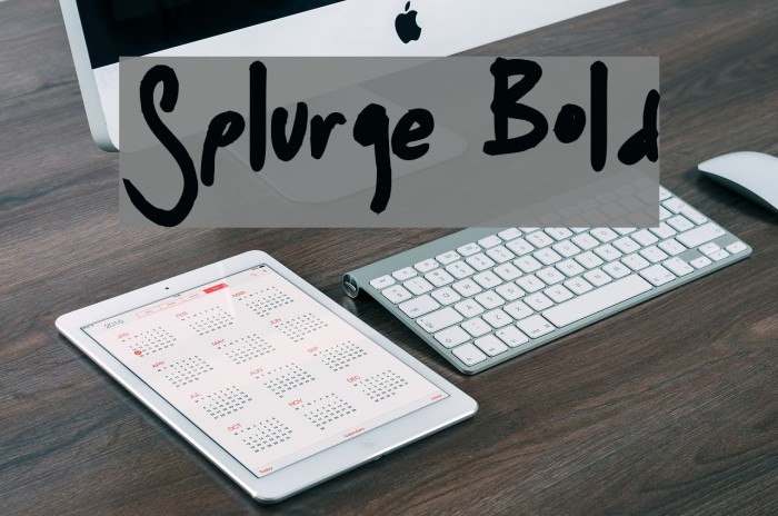 Splurge Bold Font - FFonts.net