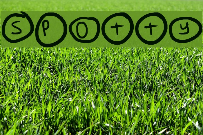 Spotty Font - FFonts.net