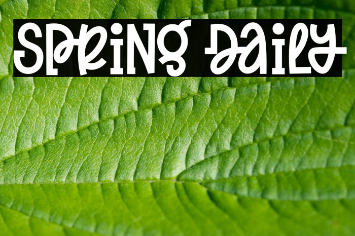 Spring Daily Font - FFonts.net