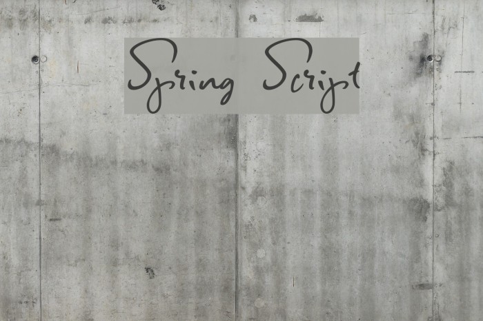 Spring Script Font - FFonts.net