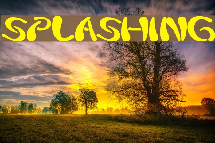 splashing Font - FFonts.net