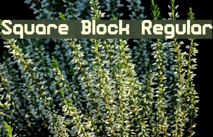 Square Block Regular Font - FFonts.net