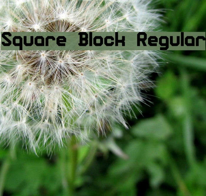Square Block Regular Font - FFonts.net