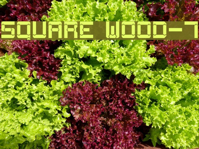 Square Wood-7 Font - FFonts.net