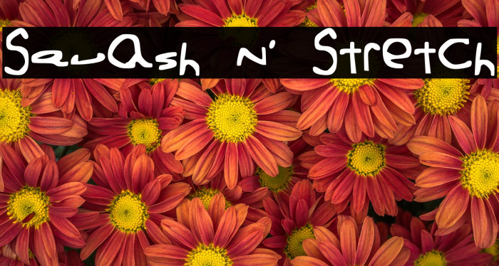 Squash N' Stretch Font - FFonts.net
