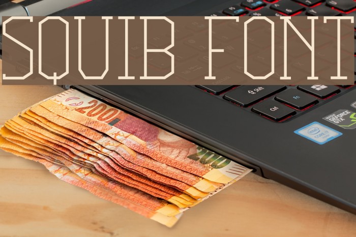 Squib Font - FFonts.net