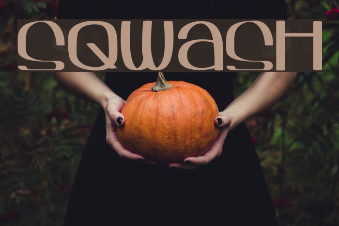 Sqwash Font - FFonts.net