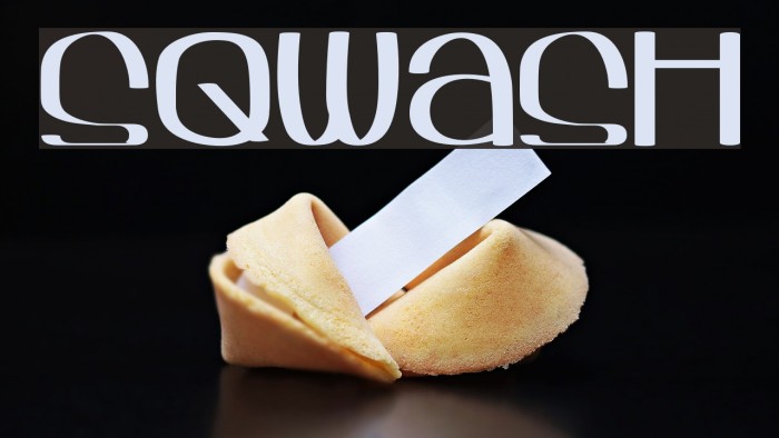 Sqwash Font - FFonts.net