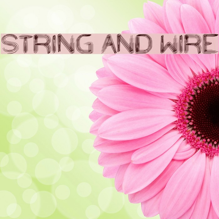 STRING AND WIRE Font - FFonts.net