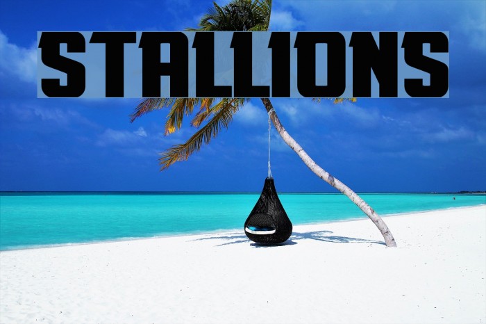 Stallions Font - FFonts.net