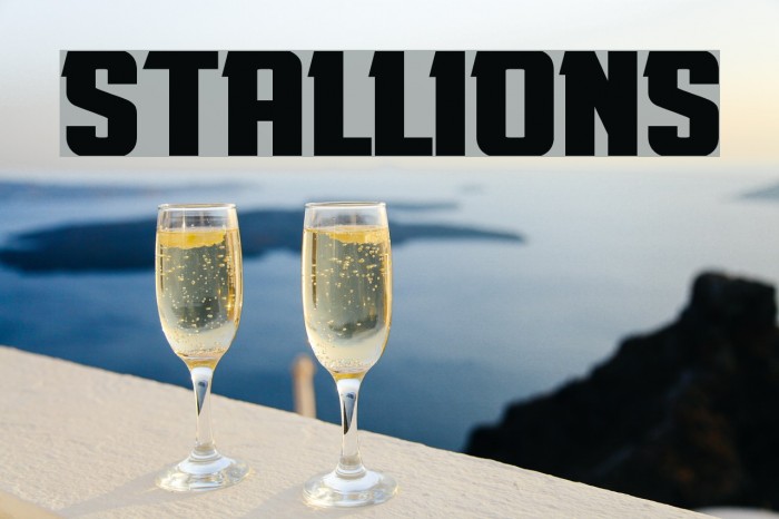 Stallions Font - FFonts.net